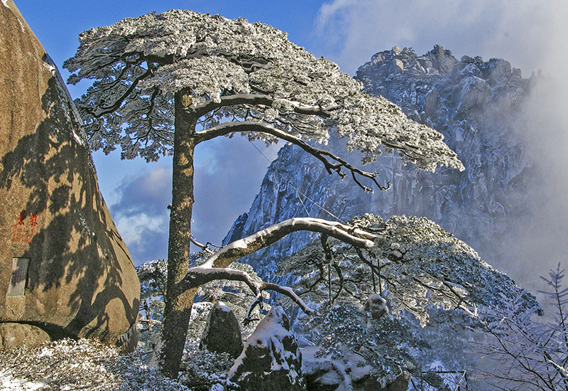Top 7 Mountains Worth Visiting in China