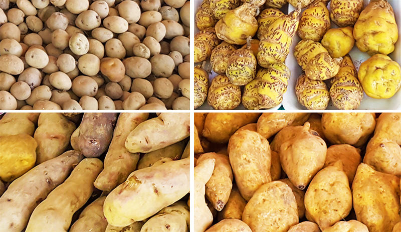 All You Need to Know About Peruvian Food