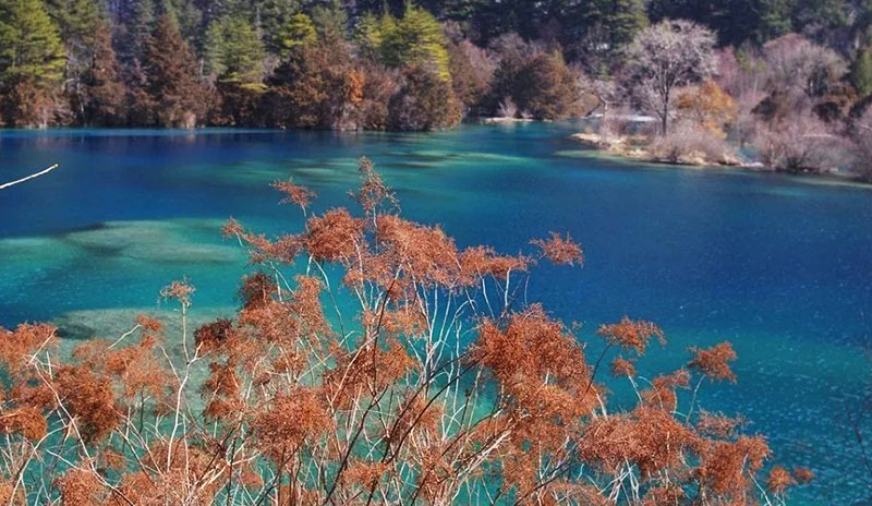 5 Reasons Why You Should Visit Chengdu