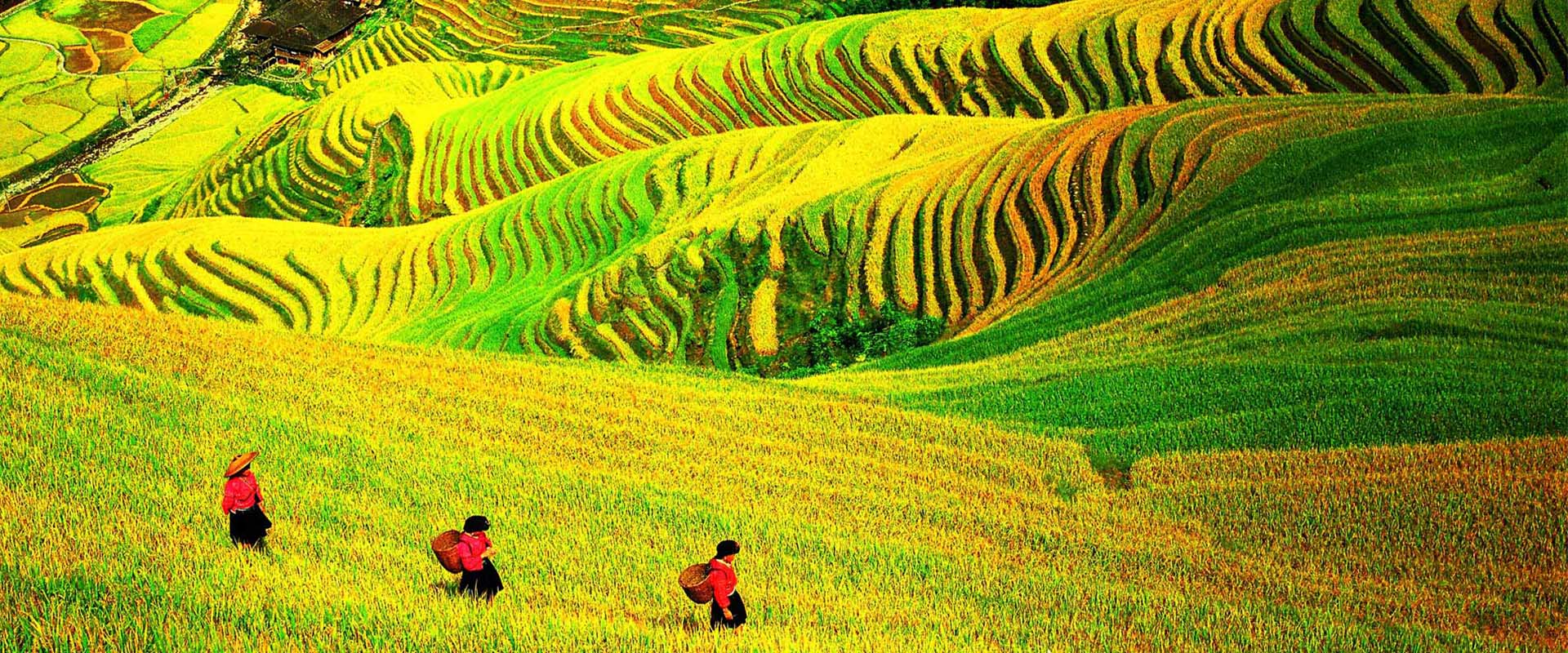 Must-See Places in Guangxi, China: Ancient Towns