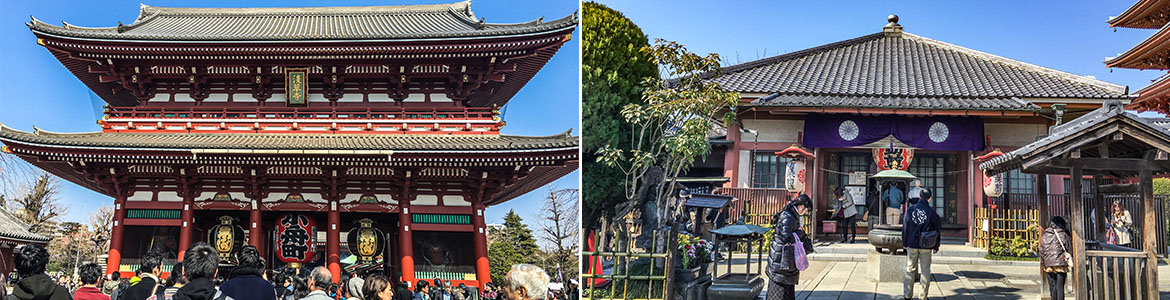 10 Best Shrines & Temples To Visit in Japan | Travel Guide