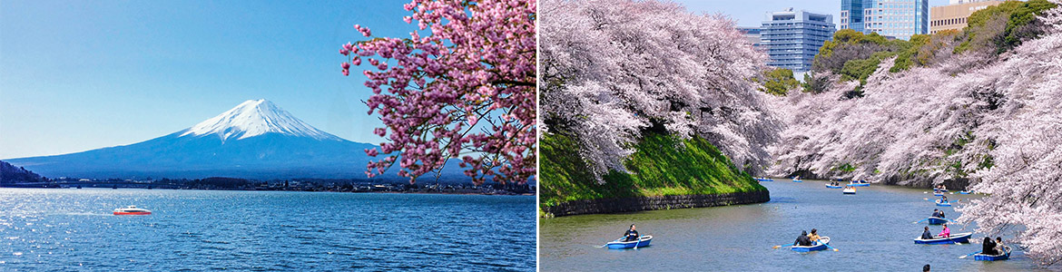 Best Places to Travel in April | Odynovo Travel Guide | 2024