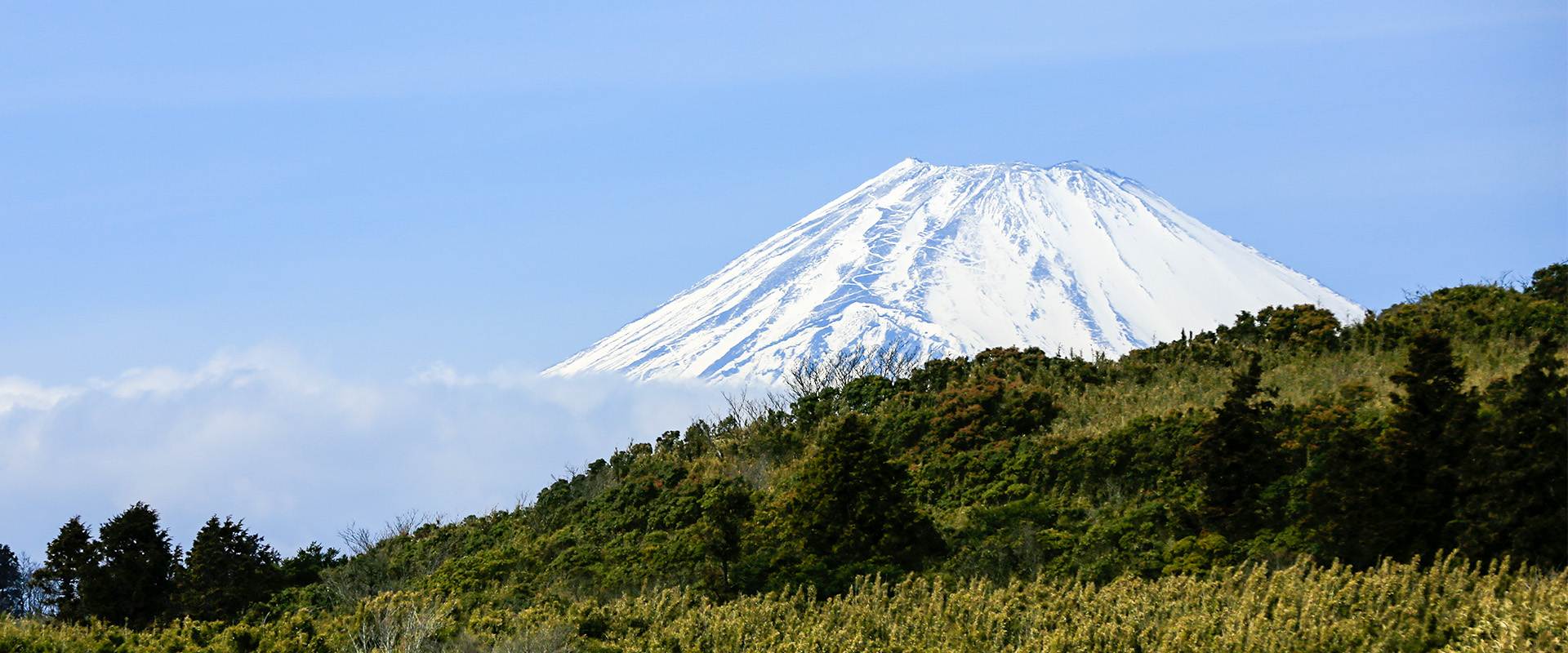 Guide to Plan a Trip to Mt Fuji: Best Time, Top Things to Do