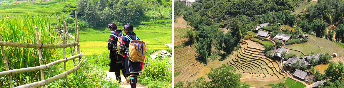 Best Places to Visit in Vietnam: Halong Bay, Hoi An, Sapa