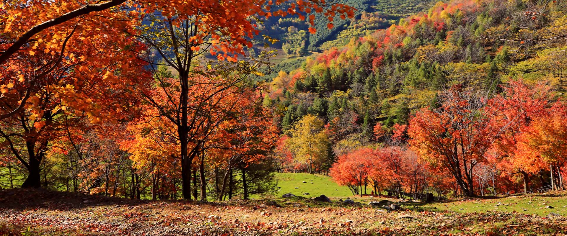 China in October 2026: Your Golden Season Travel Guide