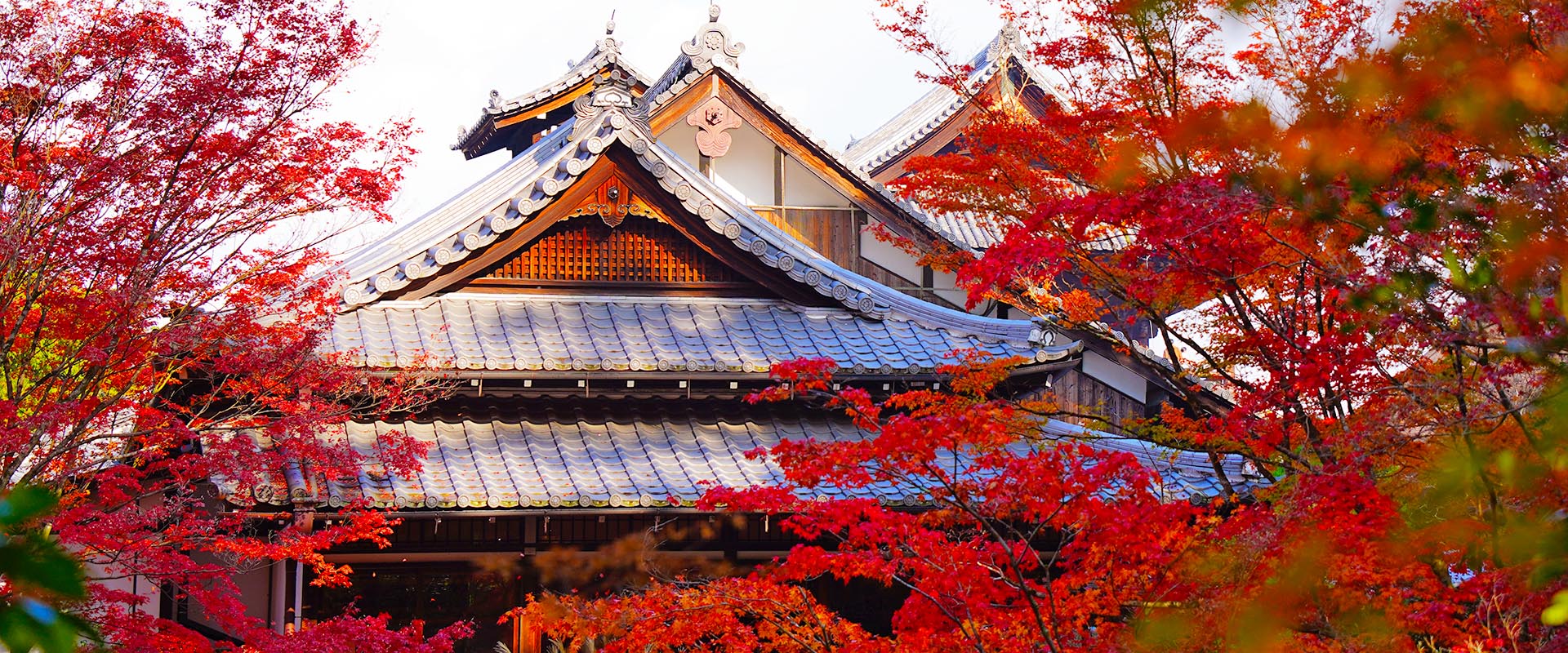 Japan in November 2026: Guide to Weather & Fall Foliage Viewing