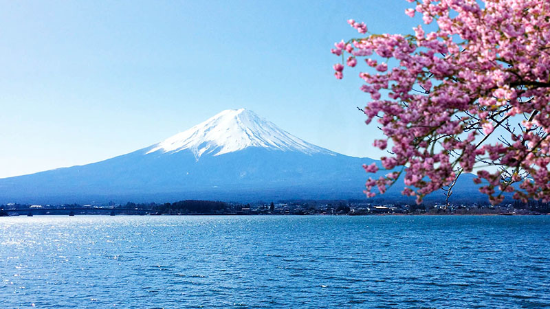 Japan in August 2025: Summer Guide to Weather, Festivals