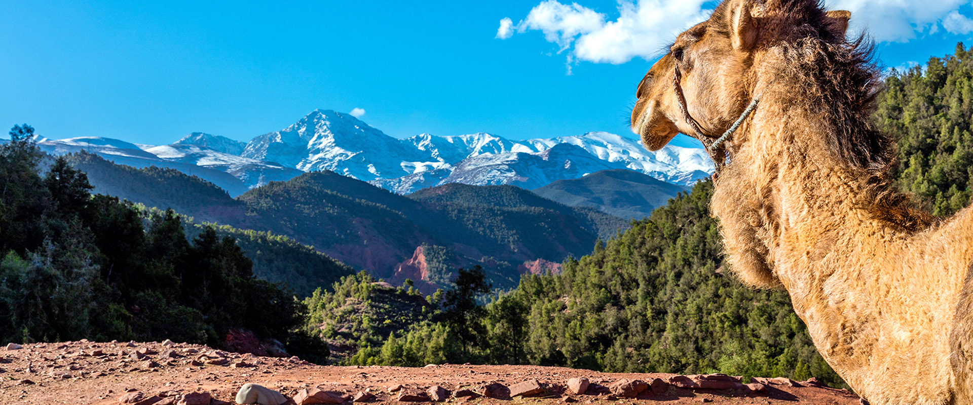Atlas Mountains Adventure Guide: Map, Hike, Ski & Weather