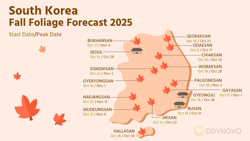 Fall Foliage in Korea: Autumn Leaves Guide & Forecast 2025