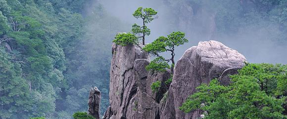 Best Huangshan Tours: Customized Yellow Mountain Experiences