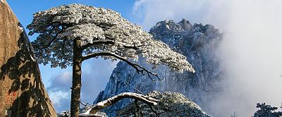 Huangshan Tours: Private Guided Tour Packages to Yellow Mountain