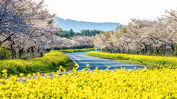 Best 10 Places to Travel in March 2026