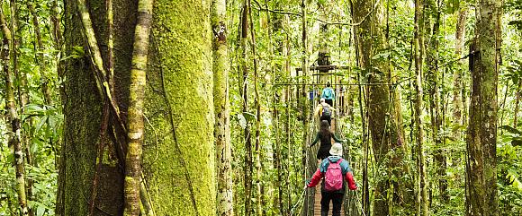 Peruvian Money Sol & Currency 2026: Exchange Rates & Tips