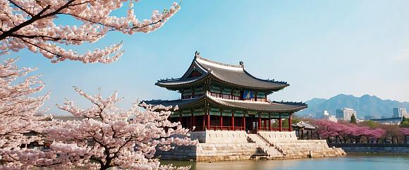 Top Korean Festivals 2026: Best Celebrations & Events