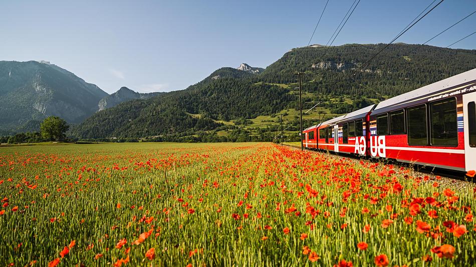 Switzerland Culinary & Train Tour: Cheese, Chocolate & Wine
