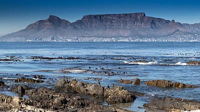 South Africa Safari | Expert Plan Trips Just for You | Odynovo