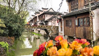 Zhujiajiao Water Town: Top Things to Do & Visitor Guide