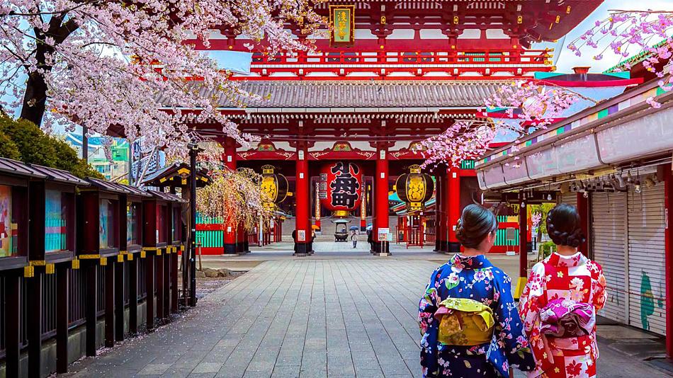 Best of Japan Tour: Cherry Blossom & Mt. Fuji