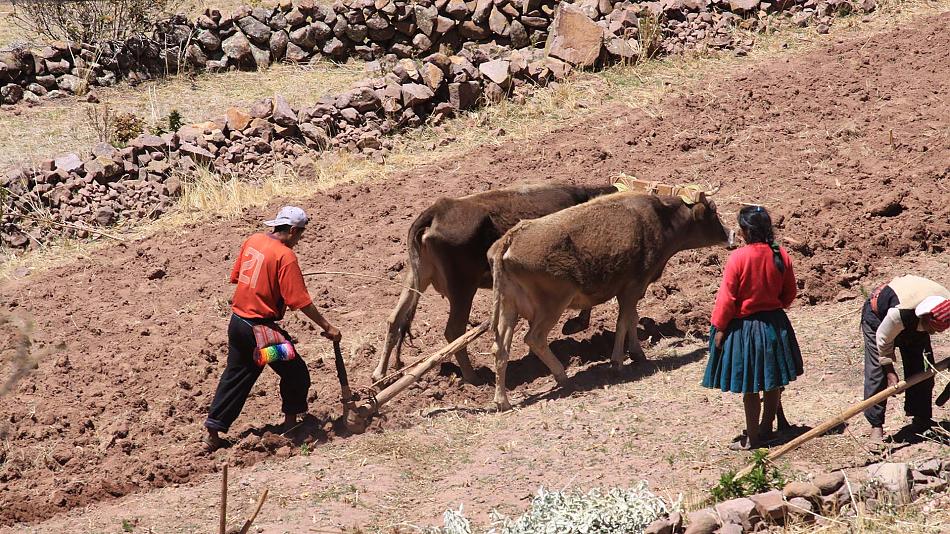 Private Peru Cultural Trip: Andean Villages & Inca Wonders