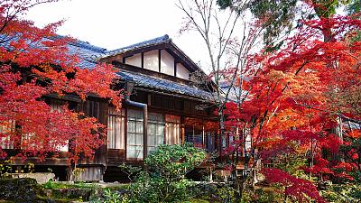 Japan Autumn Tour: Mt. Fuji, Kyoto & Kumano Kodo