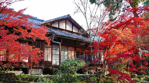 Japan in November 2025: Weather & Fall Foliage Viewing Guide