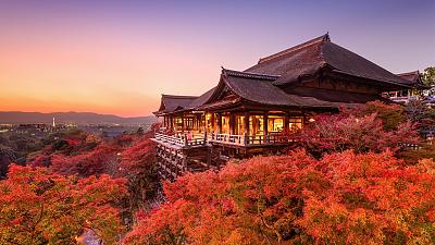 Japan Fall Foliage: 2025 Autumn Leaves Forecast Map