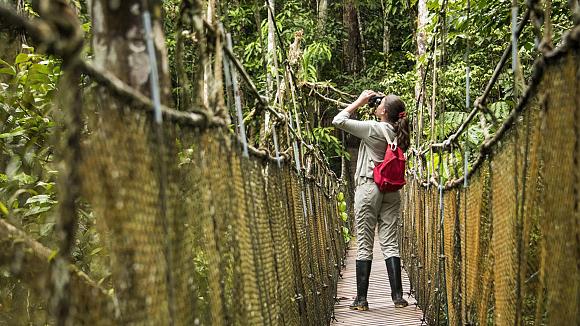Wildlife Safaris & Tours | Africa, Amazon, Borneo & More