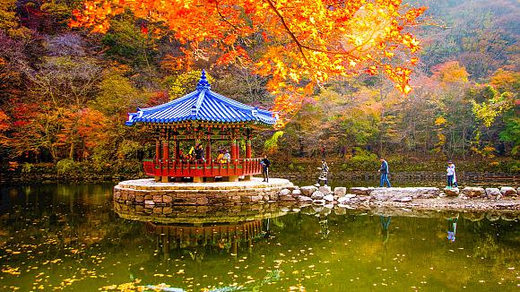 Autumn in South Korea 2026 | Things to Do & Itinerary Ideas