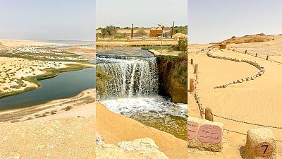 Cairo & Faiyum Private Tour: Pyramids, Oasis, Desert